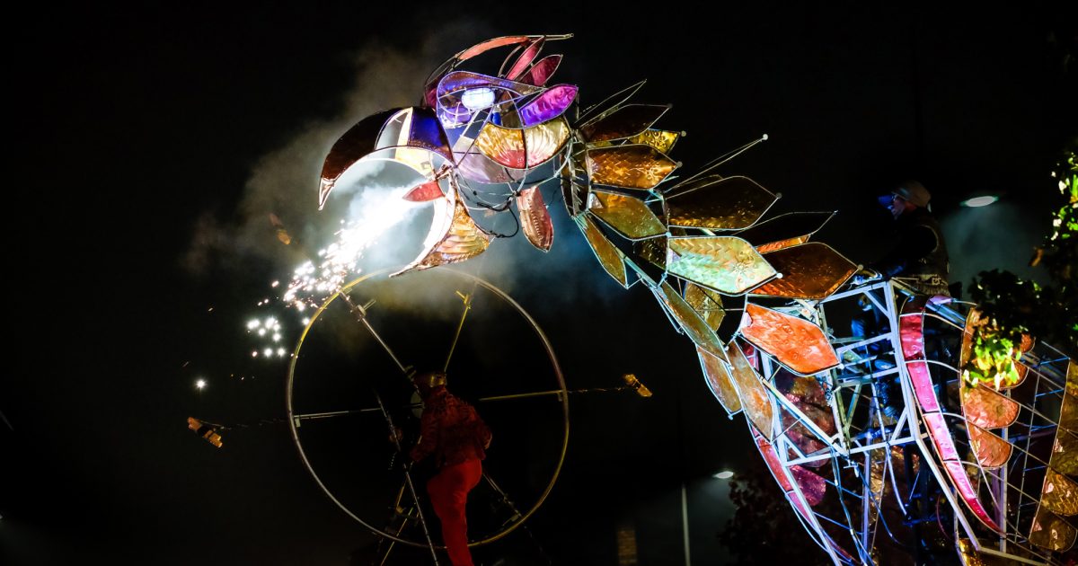 Fire Bird | EEA
