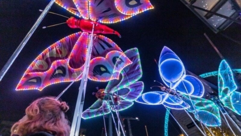 LED Butterflies | EEA